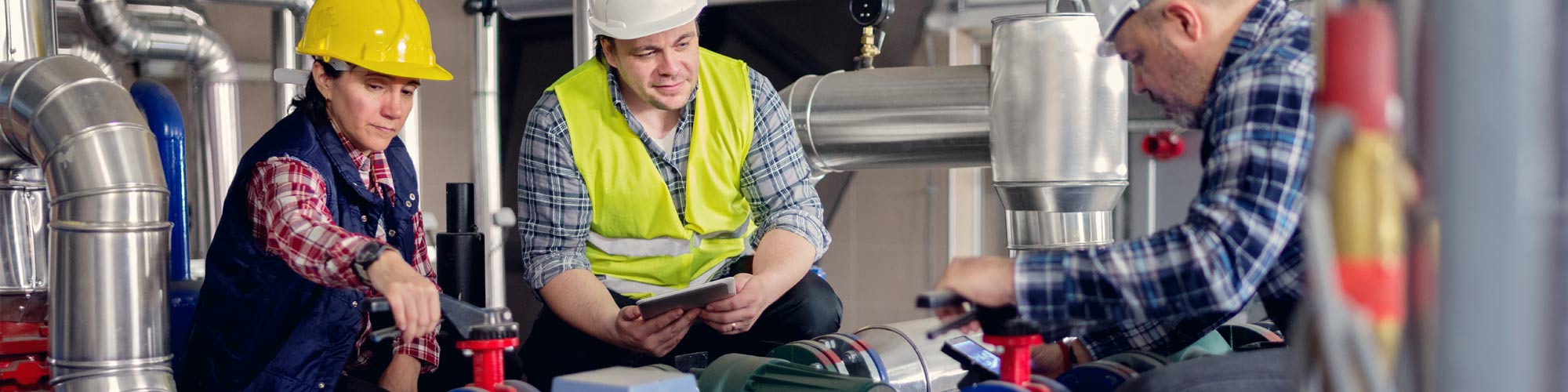 Insulator (Heat and Frost) (Pre-Employment) Program - Academy Canada ...